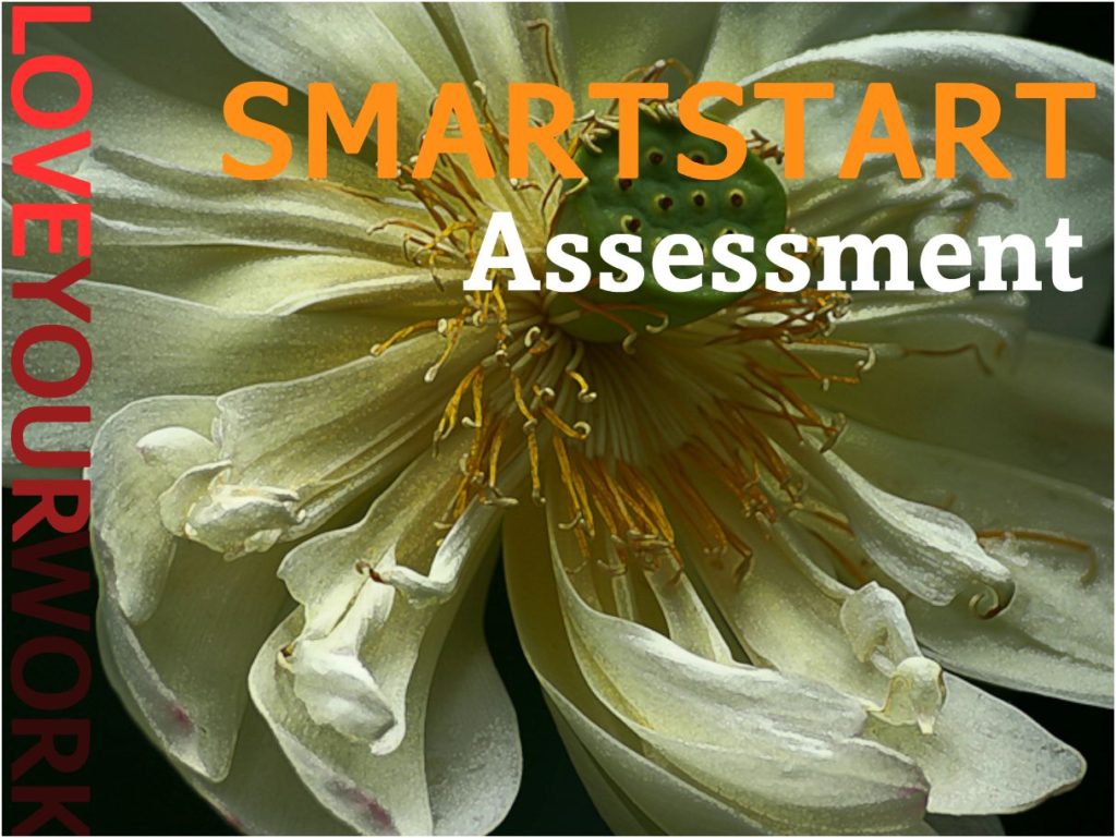 The Visual DNA Personality Test - Smartstartcoach